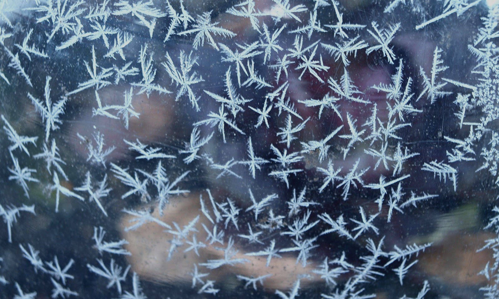Mark's Veg Plot: Frost patterns - Nature's own artform