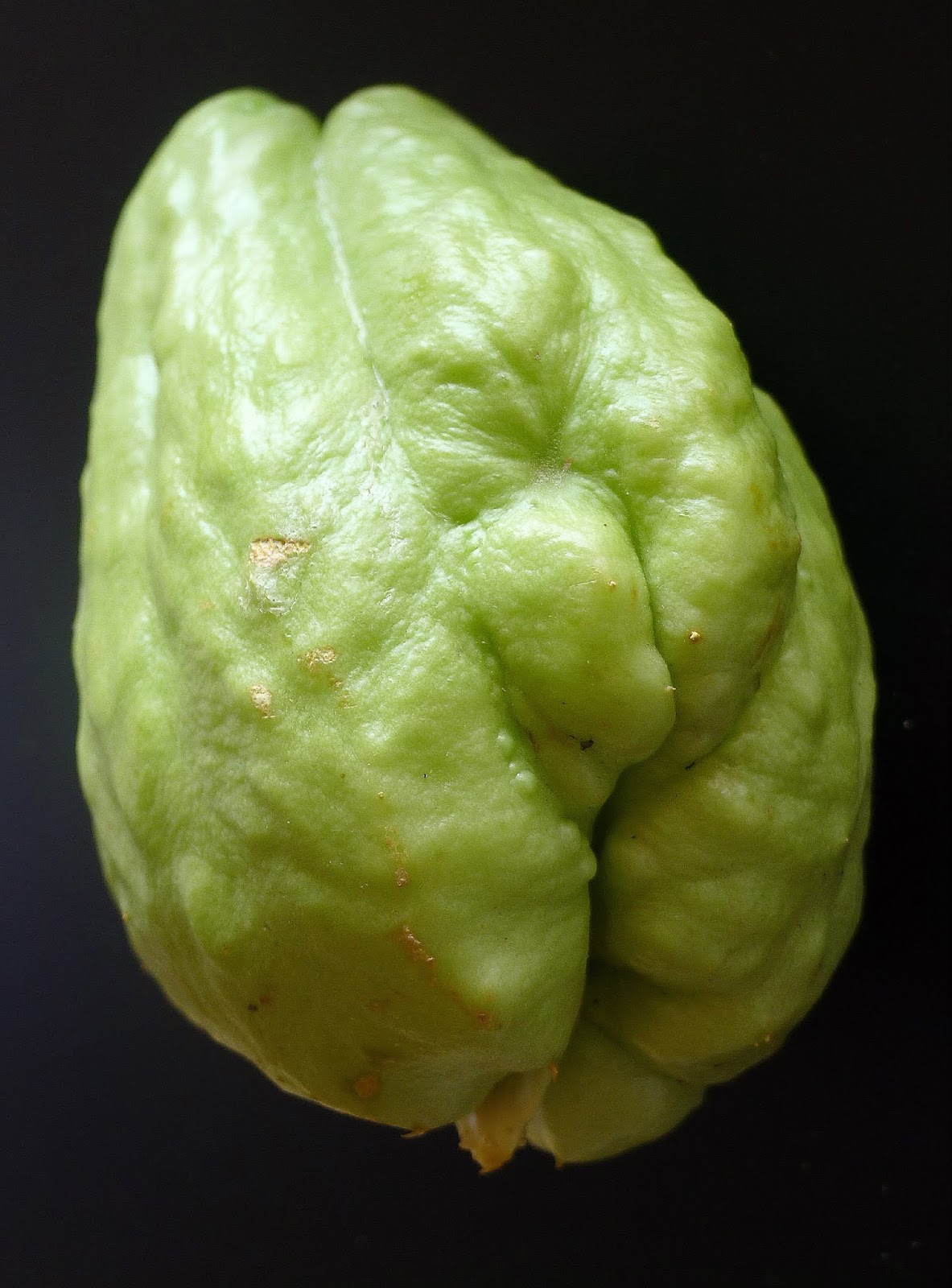 MY KITCHEN IN SPAIN: GNARLY VEGETABLES