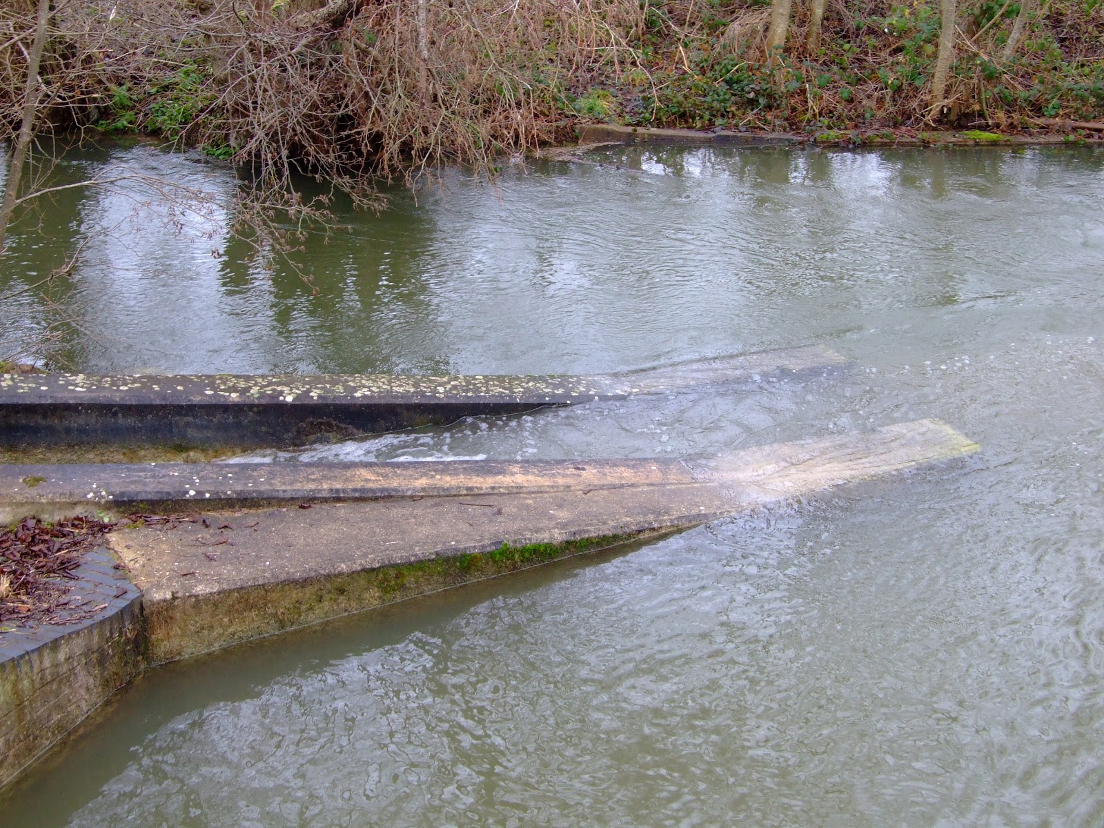 Canoeing and Kayaking on The River Kennet: Water levels up and down the ...