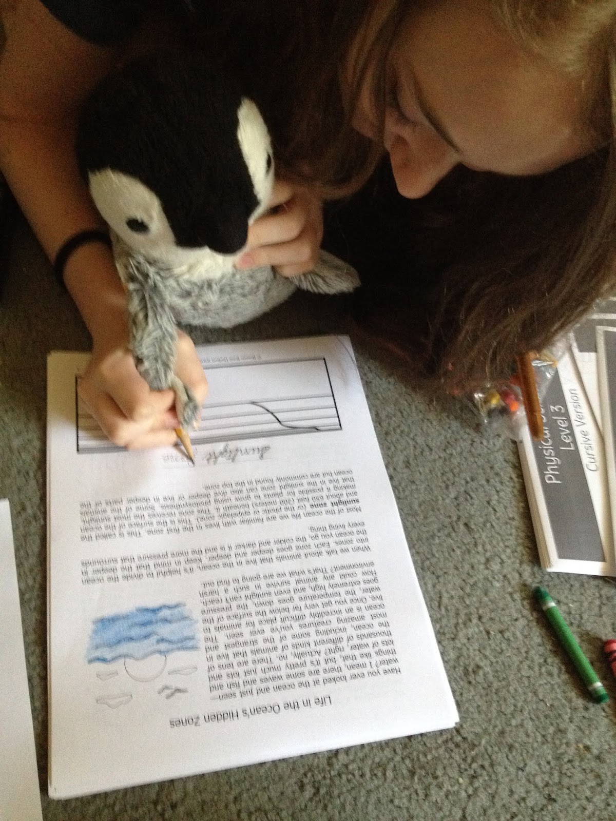 Puddle Jumping: Homeschool Review Crew - Learning About Science from ...