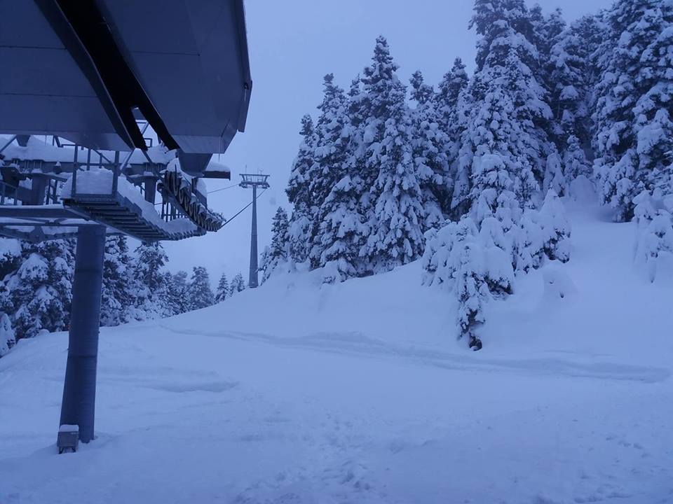 Πολύδροσος Παρνασσού: ΧΙΟΝΟΔΡΟΜΙΚΟ ΚΕΝΤΡΟ ΠΑΡΝΑΣΣΟΥ: Ανοιχτό σχεδόν όλο ...