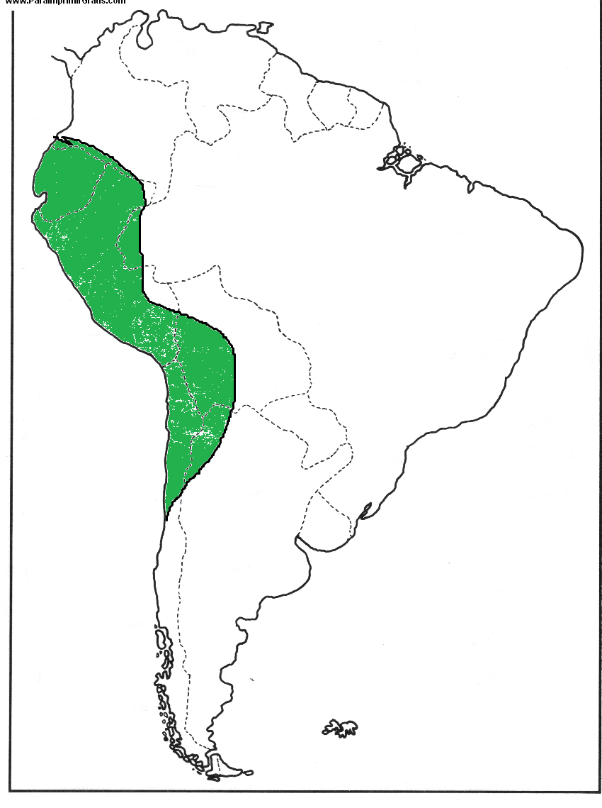 LA CIVILIZACIÓN DE LOS INCAS