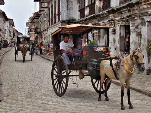 Naturalism - the Eighth Sense: 6 Stories of Childhood, a Personal ...