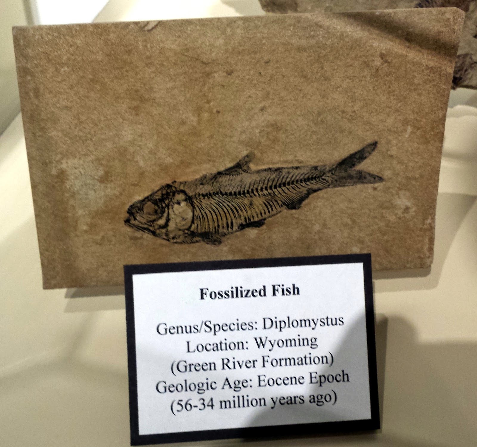 History and Culture by Bicycle: Nature's Kaleidoscope: Digging into the ...