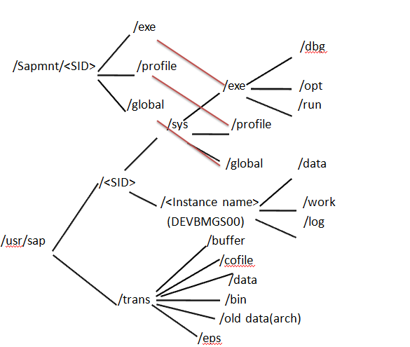 SAP Basis : Directory structure of R/3 systems