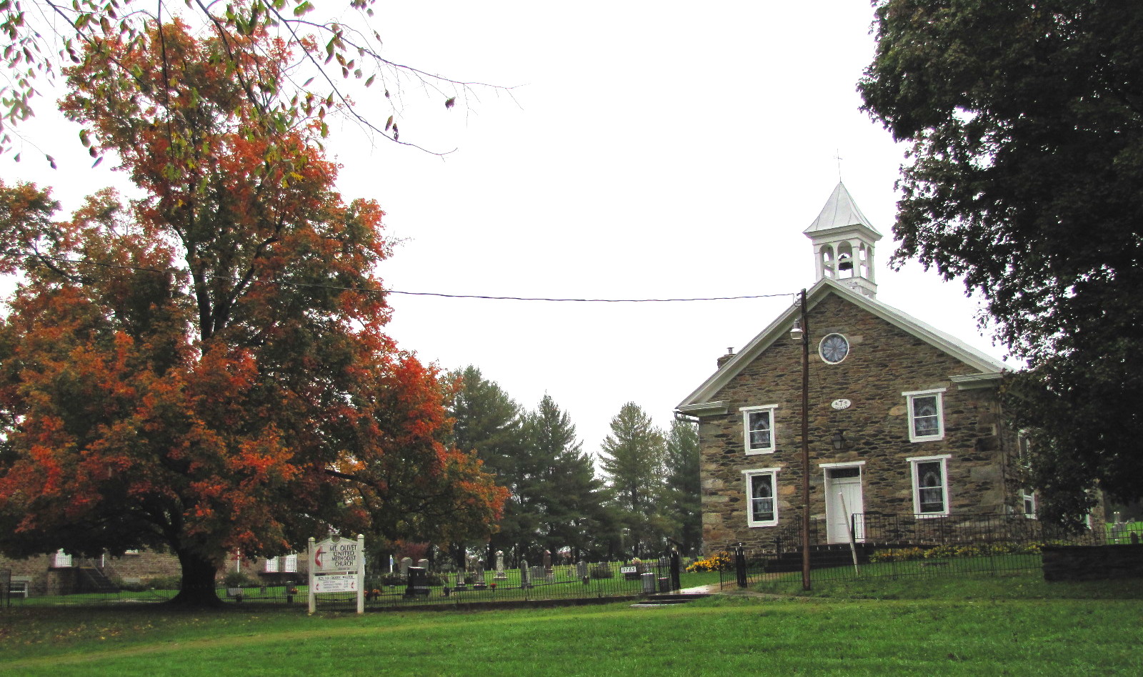 Life at Golden Pines: Fall Color and Jasmine