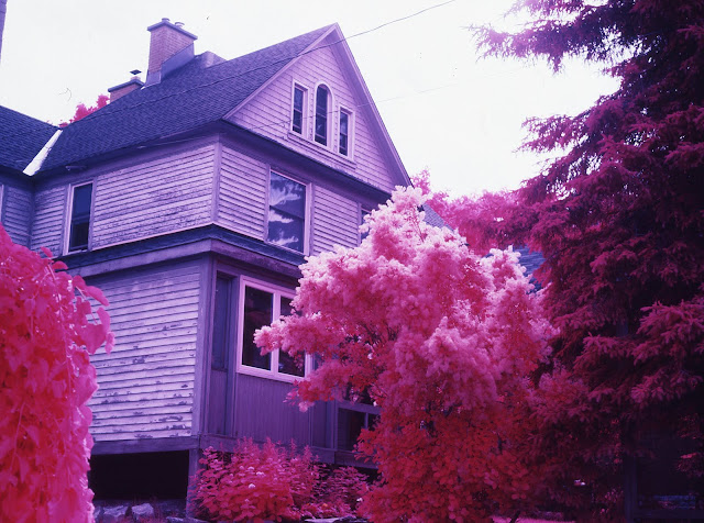 Chromaticmonastic: Kodak Aerochrome EIR Color Infrared Film