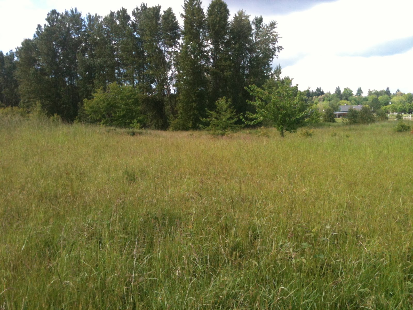 Reflections from UBNA