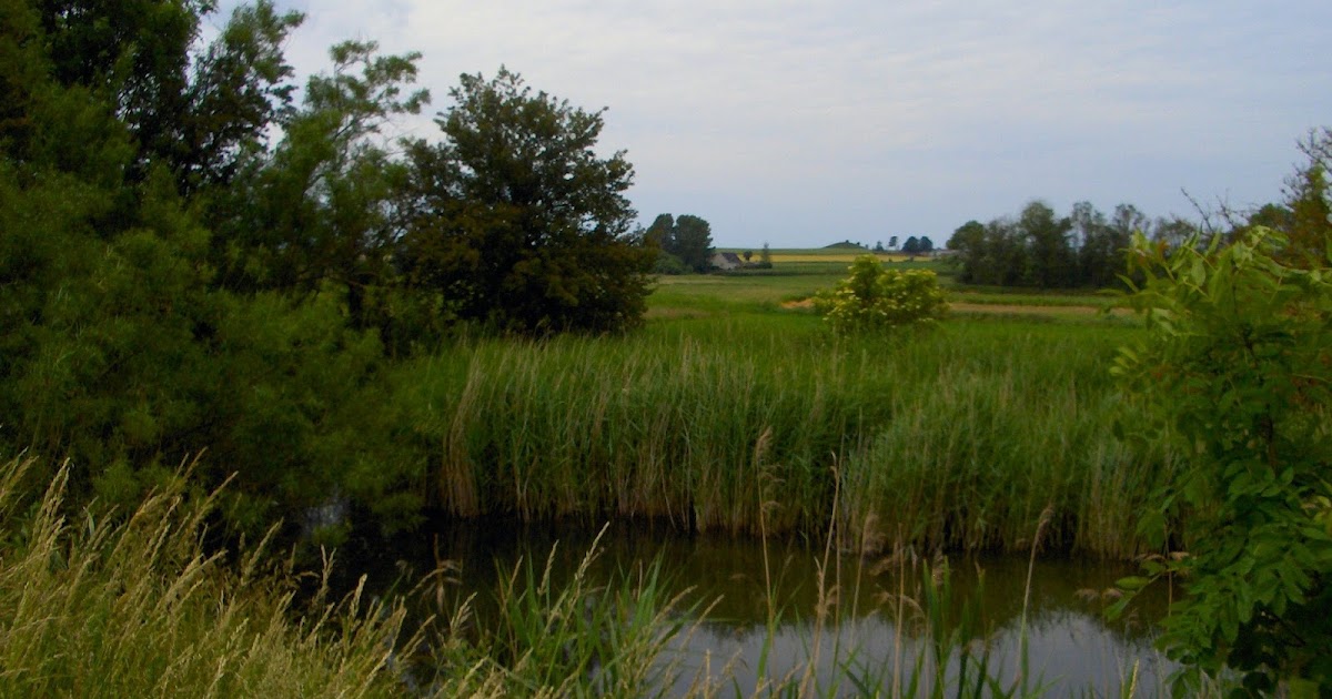 Karen`s Nature Photography: Green Landscape with Old Fire Pond.