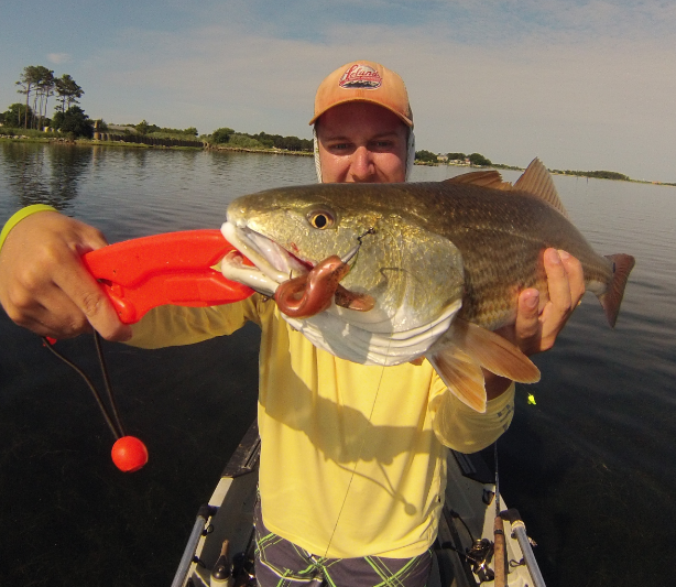 Peelin' Drag Extreme Fishing: Targeting Summer Redfish in Virginia's ...