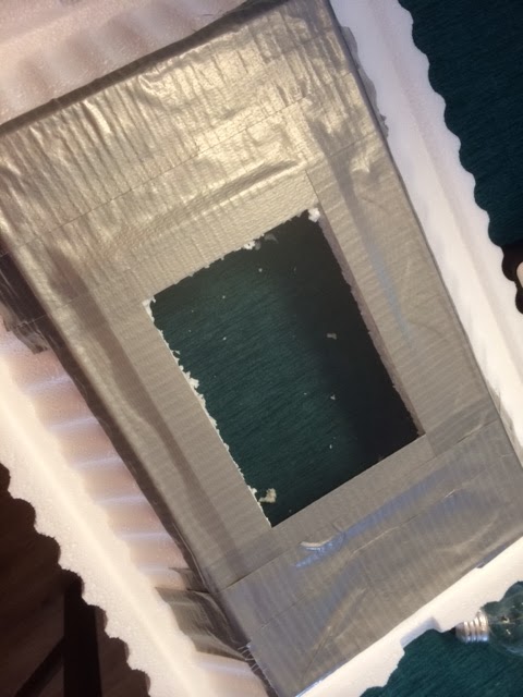 101 Uses for a Cardboard Box: Making an Egg Incubator