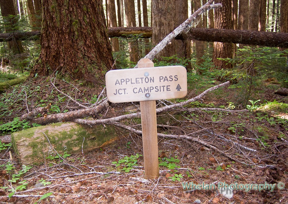 Walks with Moss: Coming full circle on the high divide -day 3 Ghosts on ...