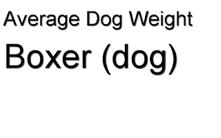 Boxer (dog) - Average Dog Weight