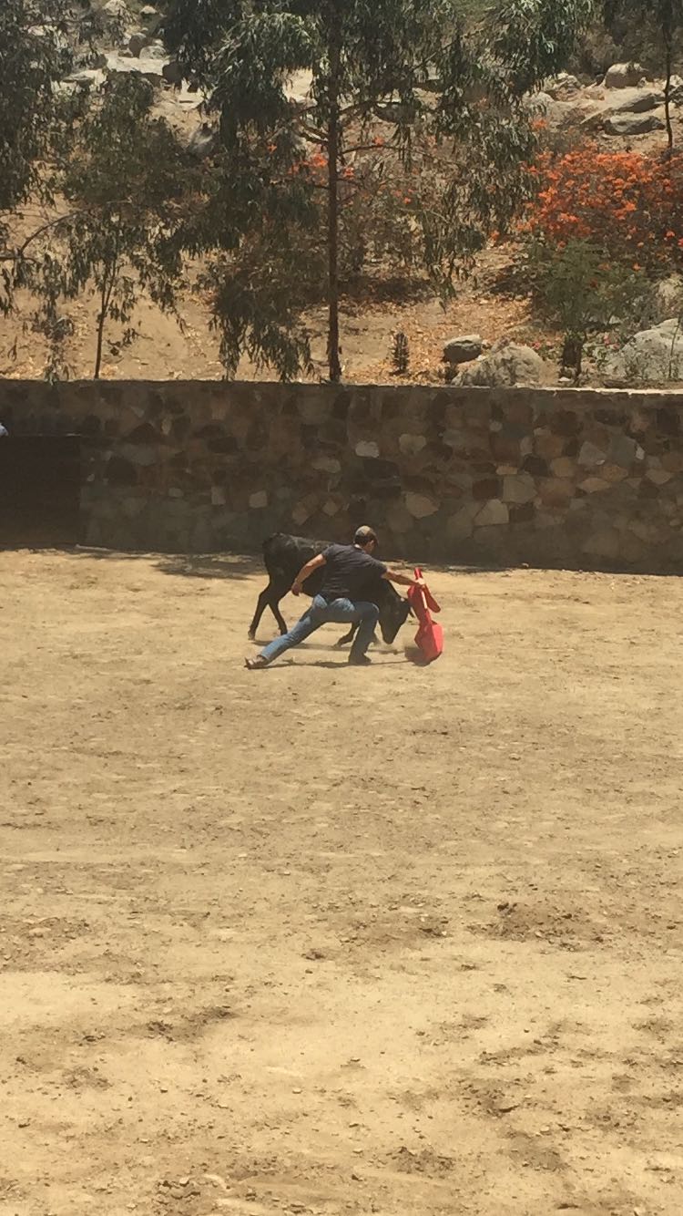 TORERIAS DE CHELIN: CHIBOLO DE LIMA TENTANDO CON LOPEZ SIMON Y JOAQUIN ...