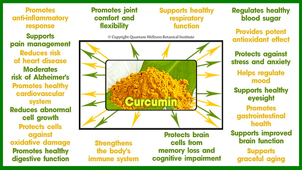 CURCUMIN is part of NUTRITION THERAPY