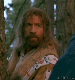 AKI GIFS: Gifs animados Chuck Norris