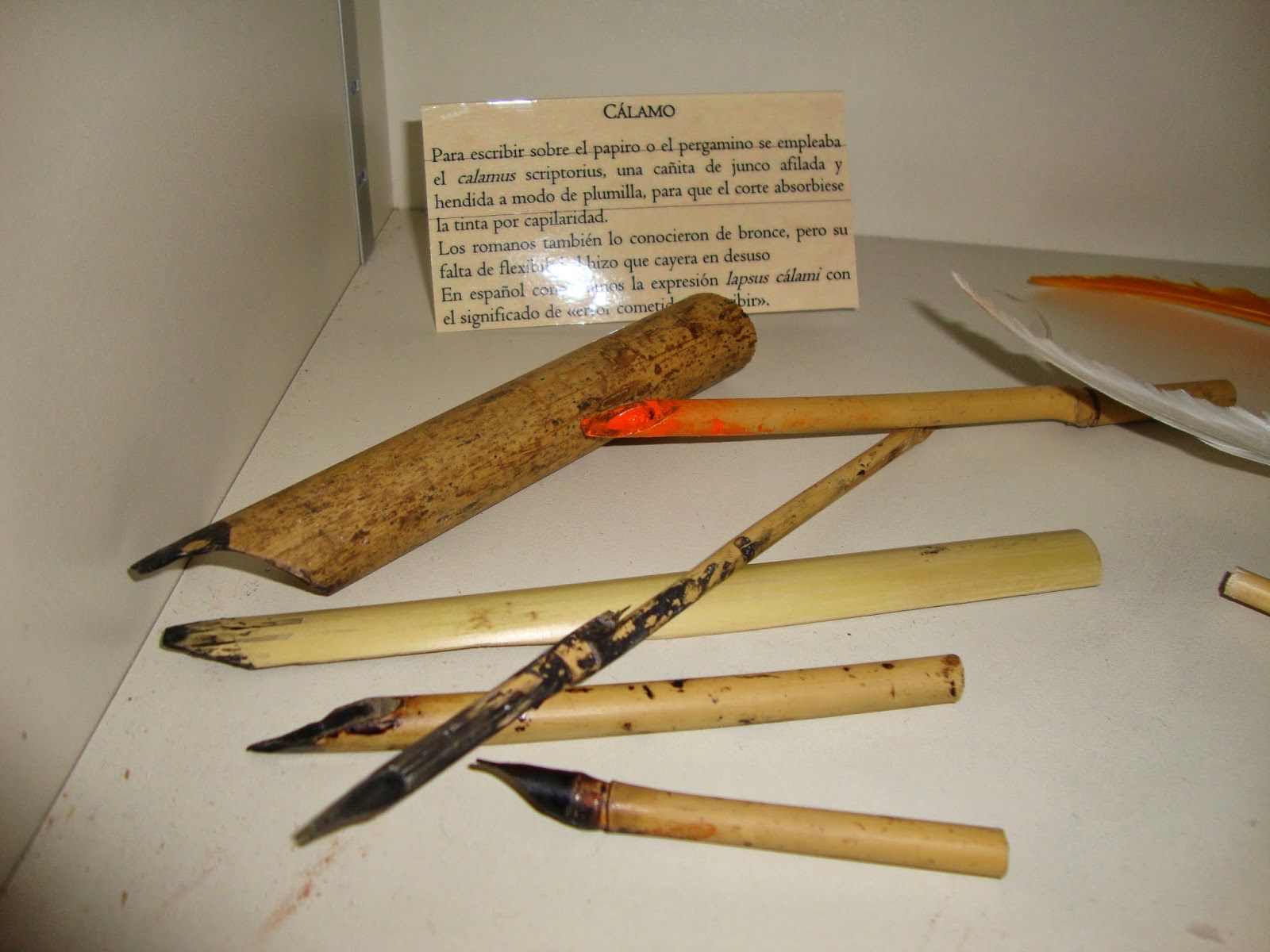 PENSARTE: LOS ESCRIBAS