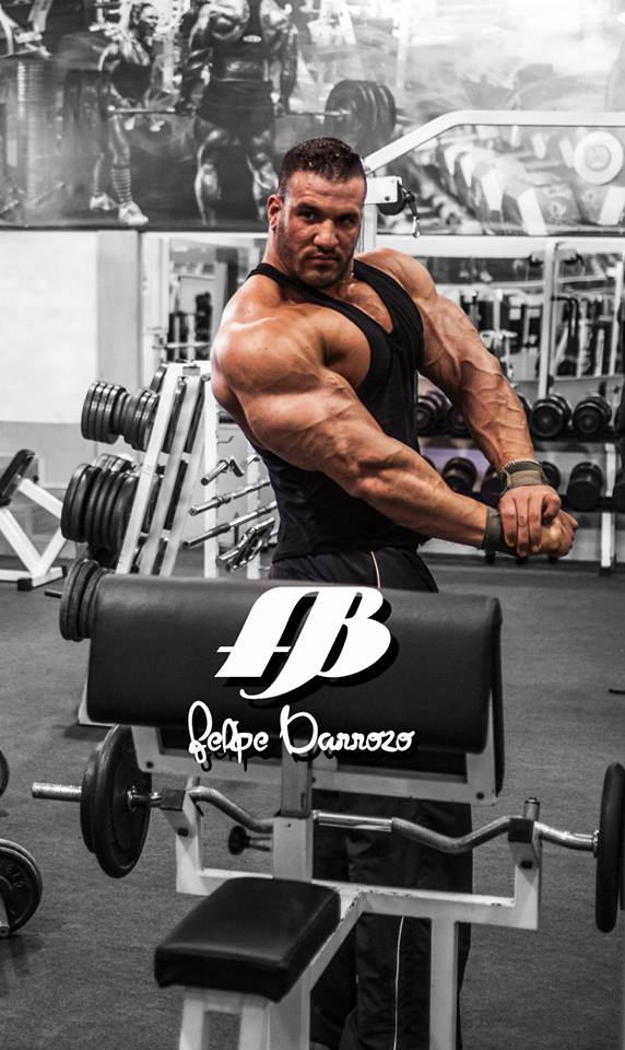 Muscle Lover: Brazilian bodybuilder Felipe Barrozo