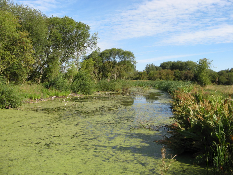 UK Wanderings: Codnor Park & Butterley Reservoir