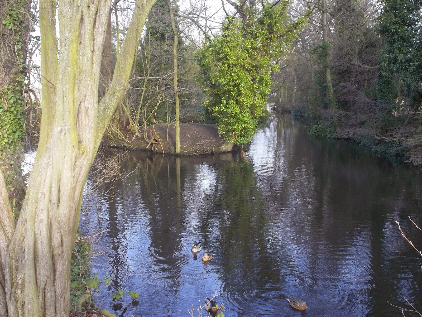 tracking the old path of the river effra at west norwood cemetery