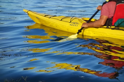 ever green knits: kayak/knitting