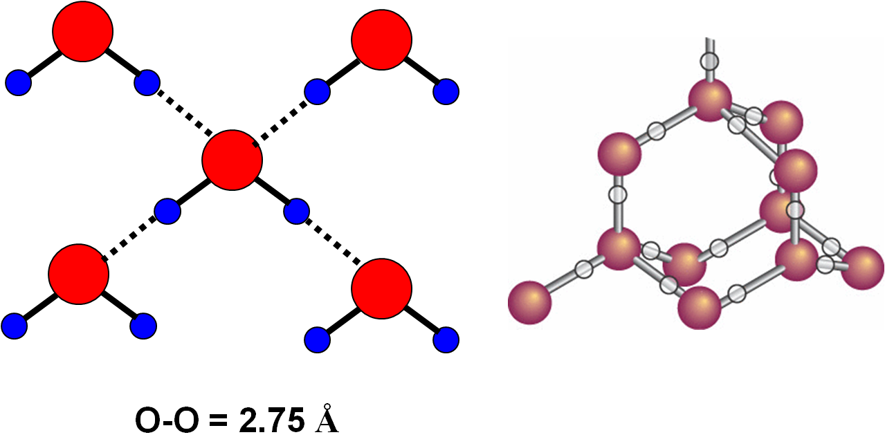 Liquid Water Molecular Structure