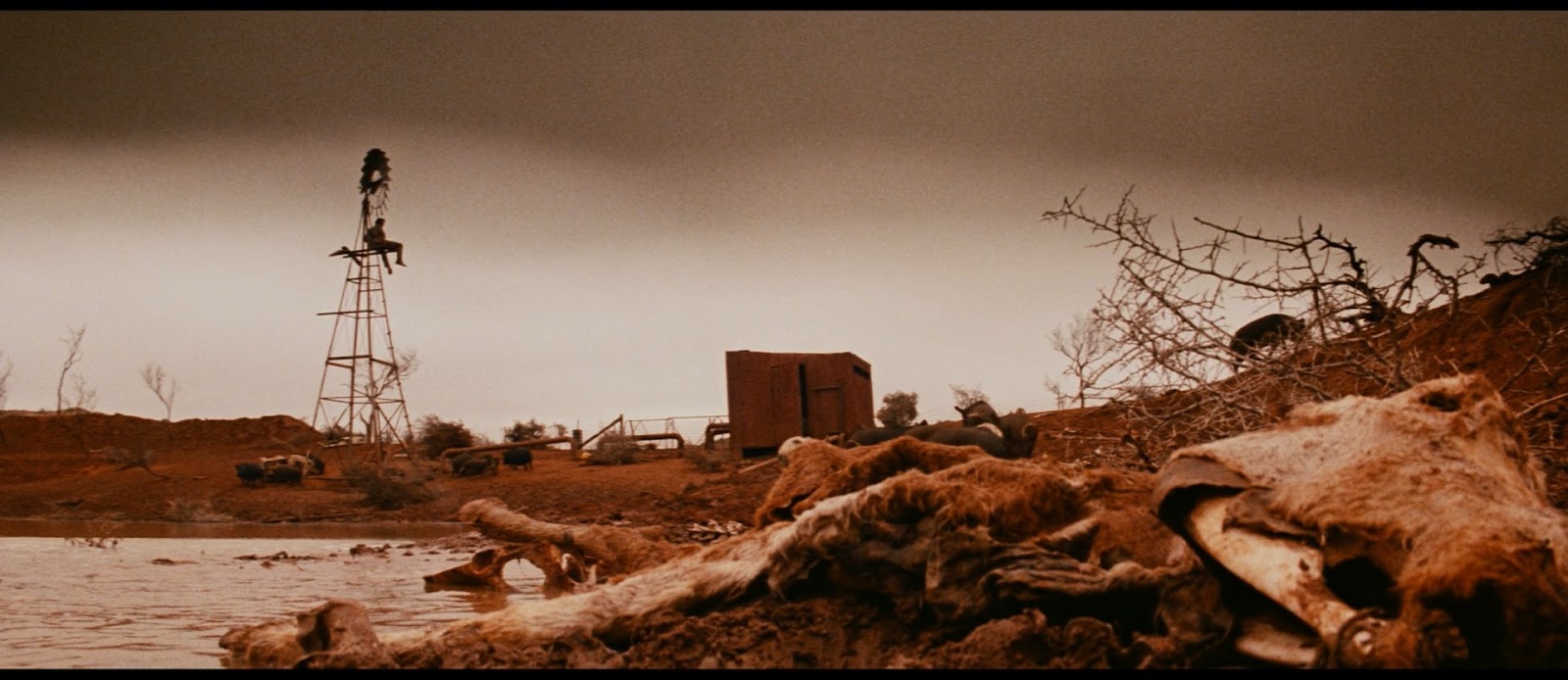 MCBASTARD'S MAUSOLEUM: RAZORBACK (1984) (Umbrella Blu-ray Review)