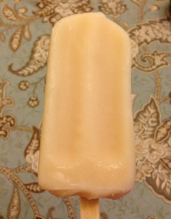 Fro-Yo Girl Speaks: Epoca Cool Probiotic Ice Bars Review