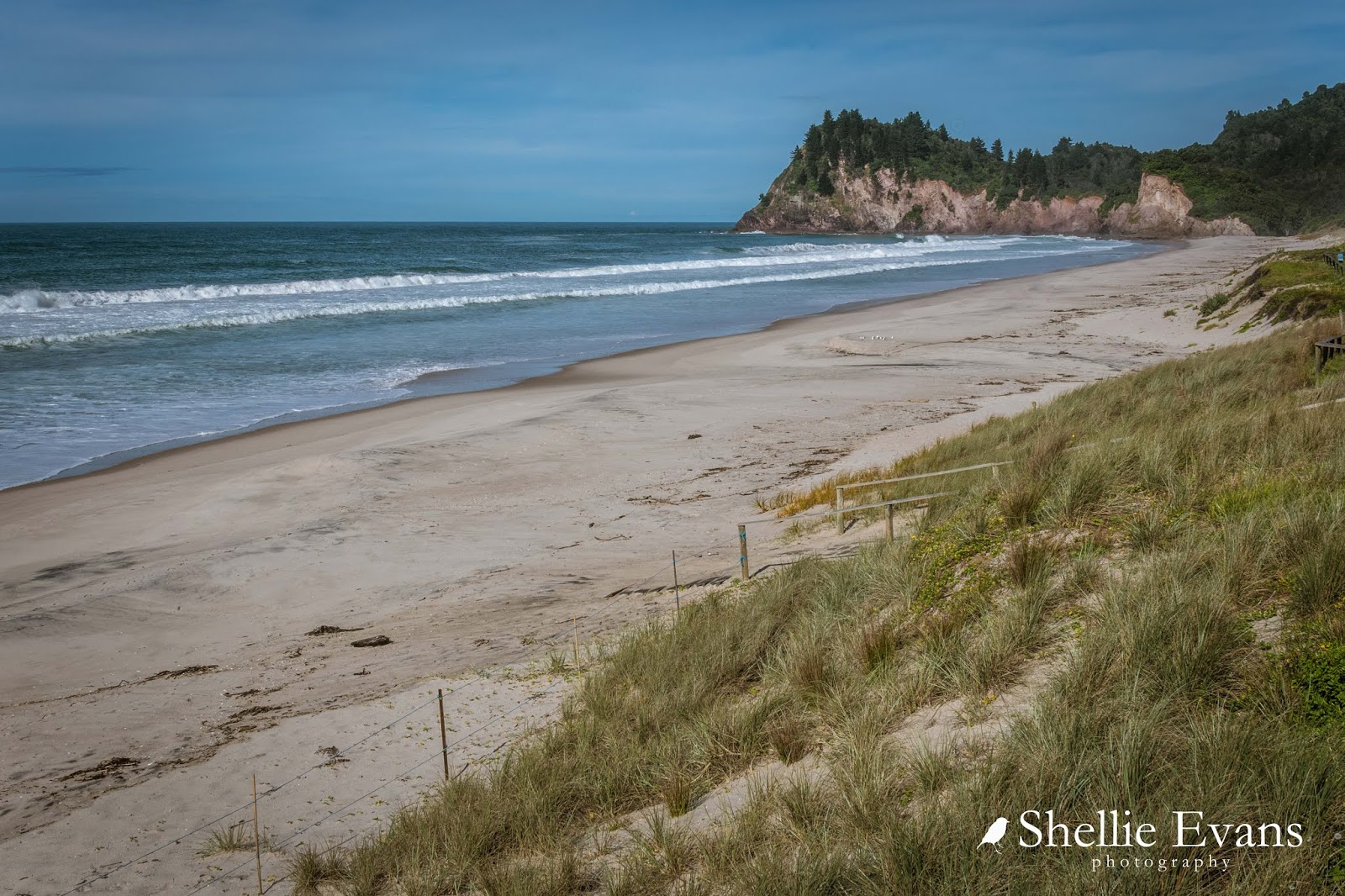 Two Go Tiki Touring: Simpsons Beach Snapper, Whitianga