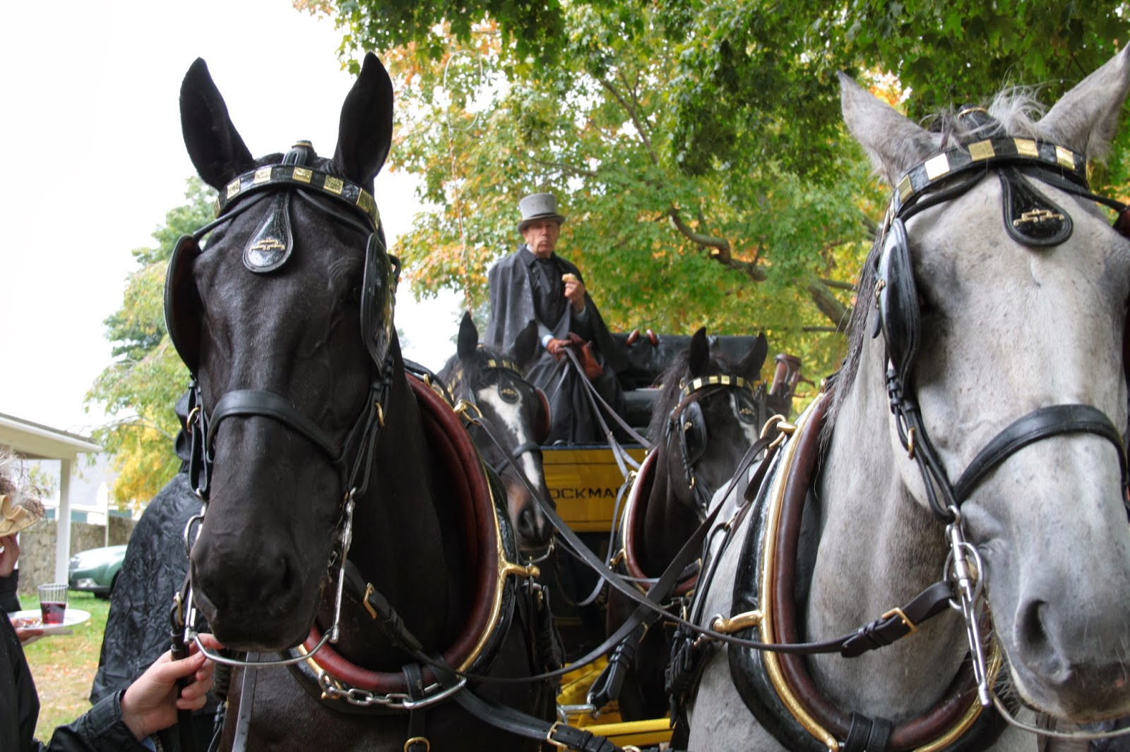 The Historic Horse Drawn Coaches of Hamilton - Antiques