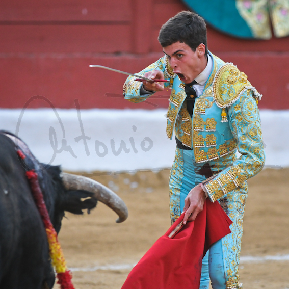 Fotos taurinas: David Galván toreando en San Fernando