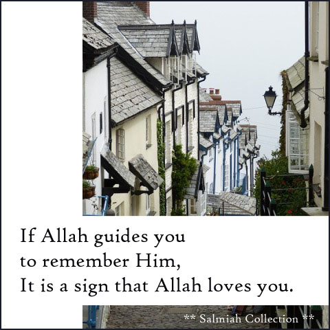 Islamic Quote 18: If Allah guides you - Salmiah Collection