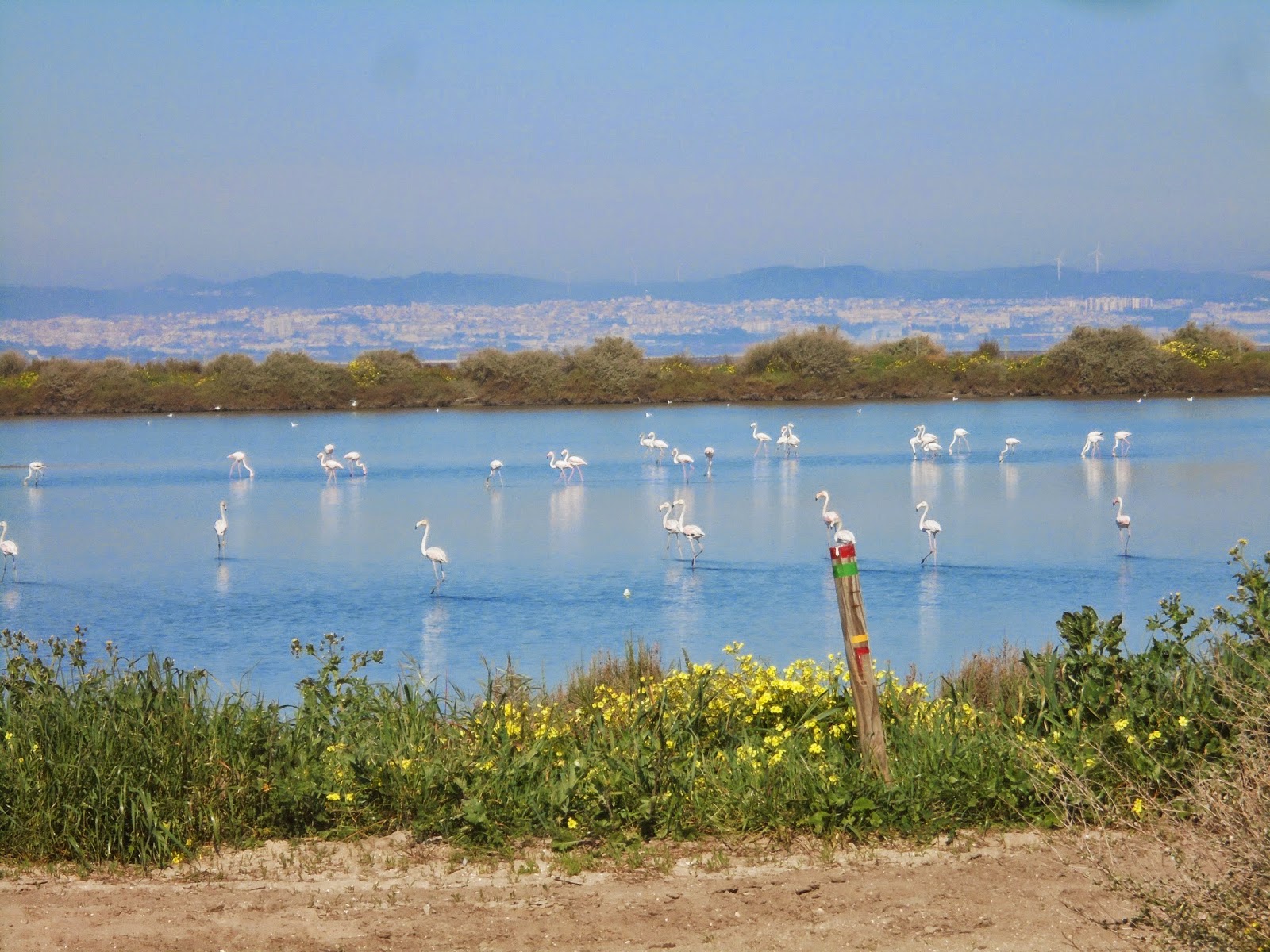 The Sweetest Pi: Caminhada pelas Salinas do Samouco