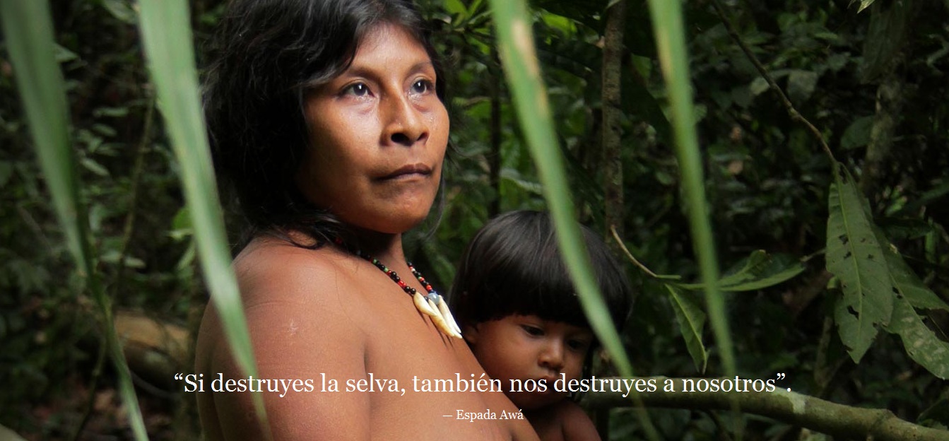 CRUST OR DIE: Los indígenas awá, al borde de la aniquilación en Brasil