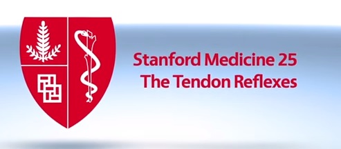 Neurologia2016: Deep Tendon Reflex Exam ( upper & lower extremities)