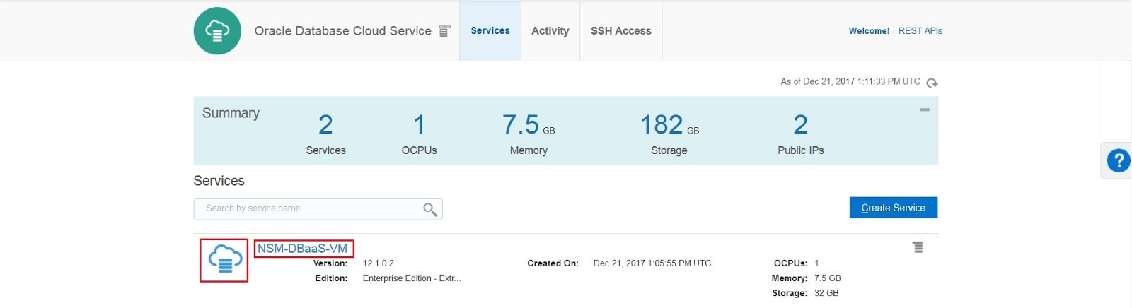 Netsoftmate Technical Blog : Oracle DBCS : Create Virtual Image Database Deployment - Part 1