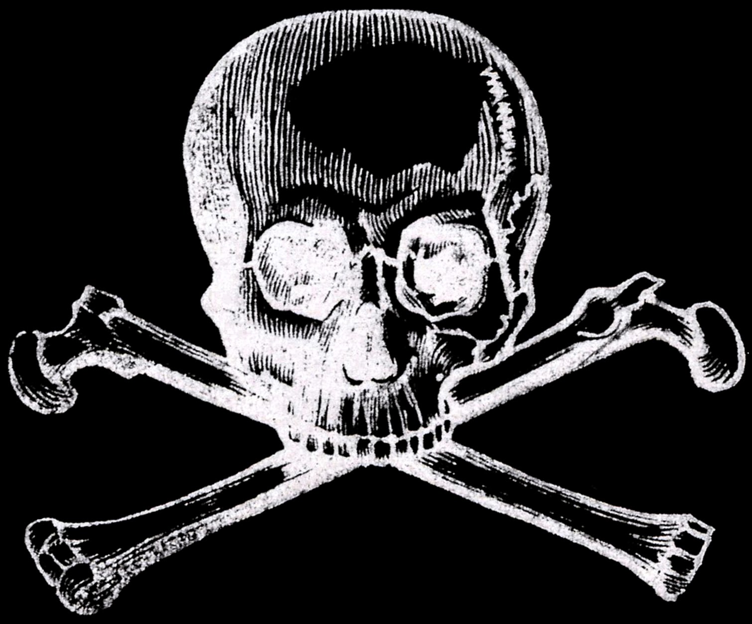 The Book Zone: Review: The Pirates of Pangaea by Daniel Hartwell and ...