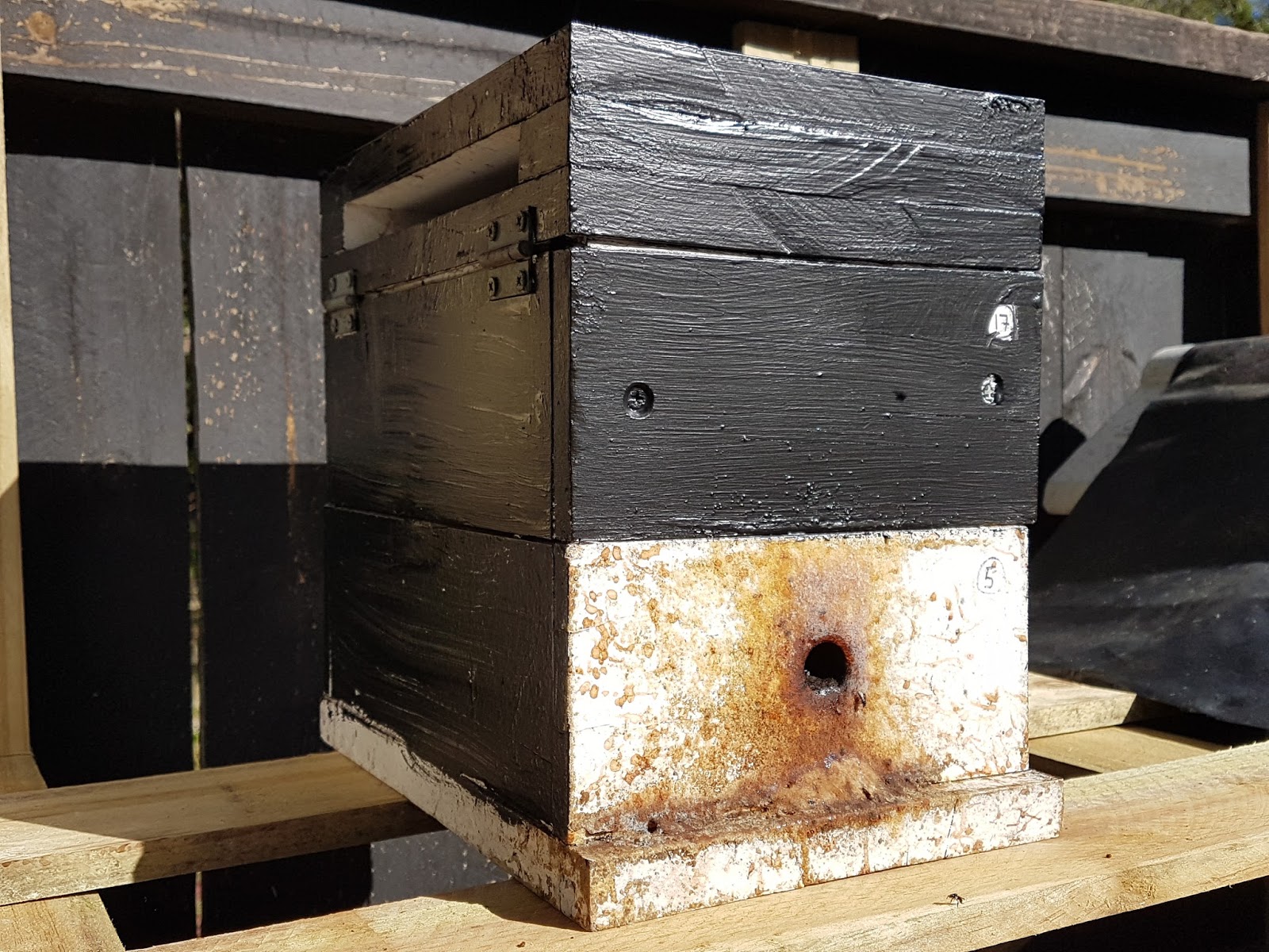 Painting native Australian bee hives black for winter