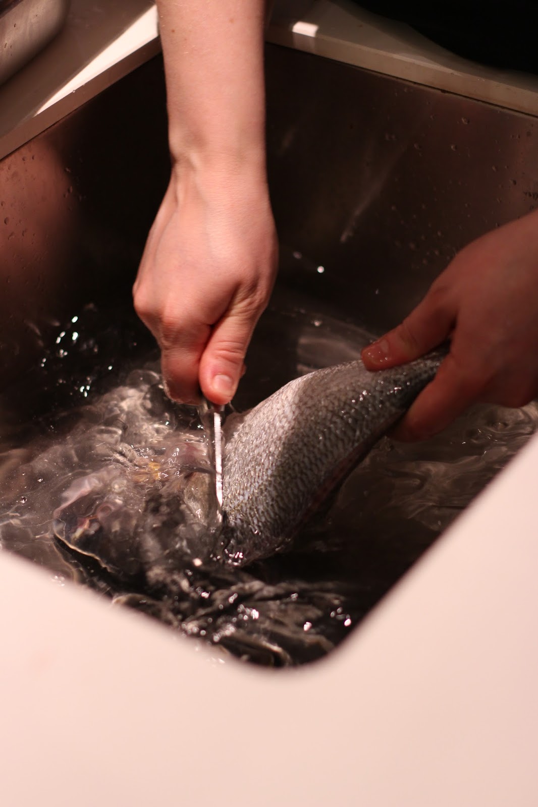 Mein Besuch bei Cookionista - Fisch und Mehr - foodundco.de