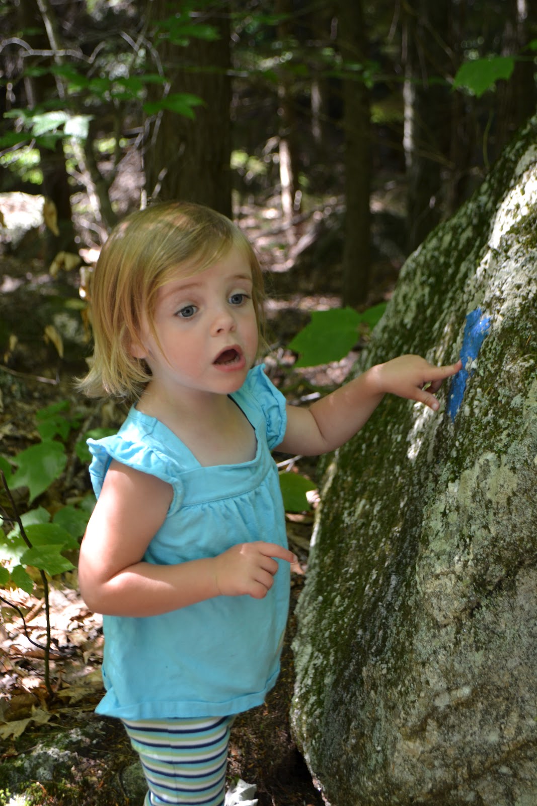 Snow Angels & Puddle Jumpers: Hamlin Park Hike