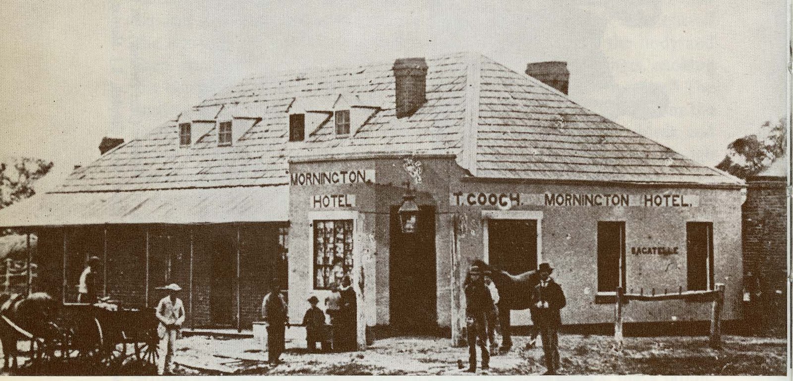 Casey Cardinia - links to our past: South Bourke and Mornington Journal ...