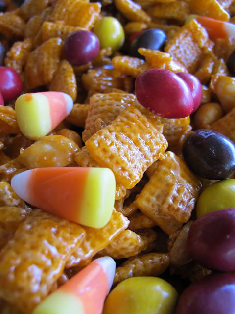 Halloween Hash - Purple Chocolat Home