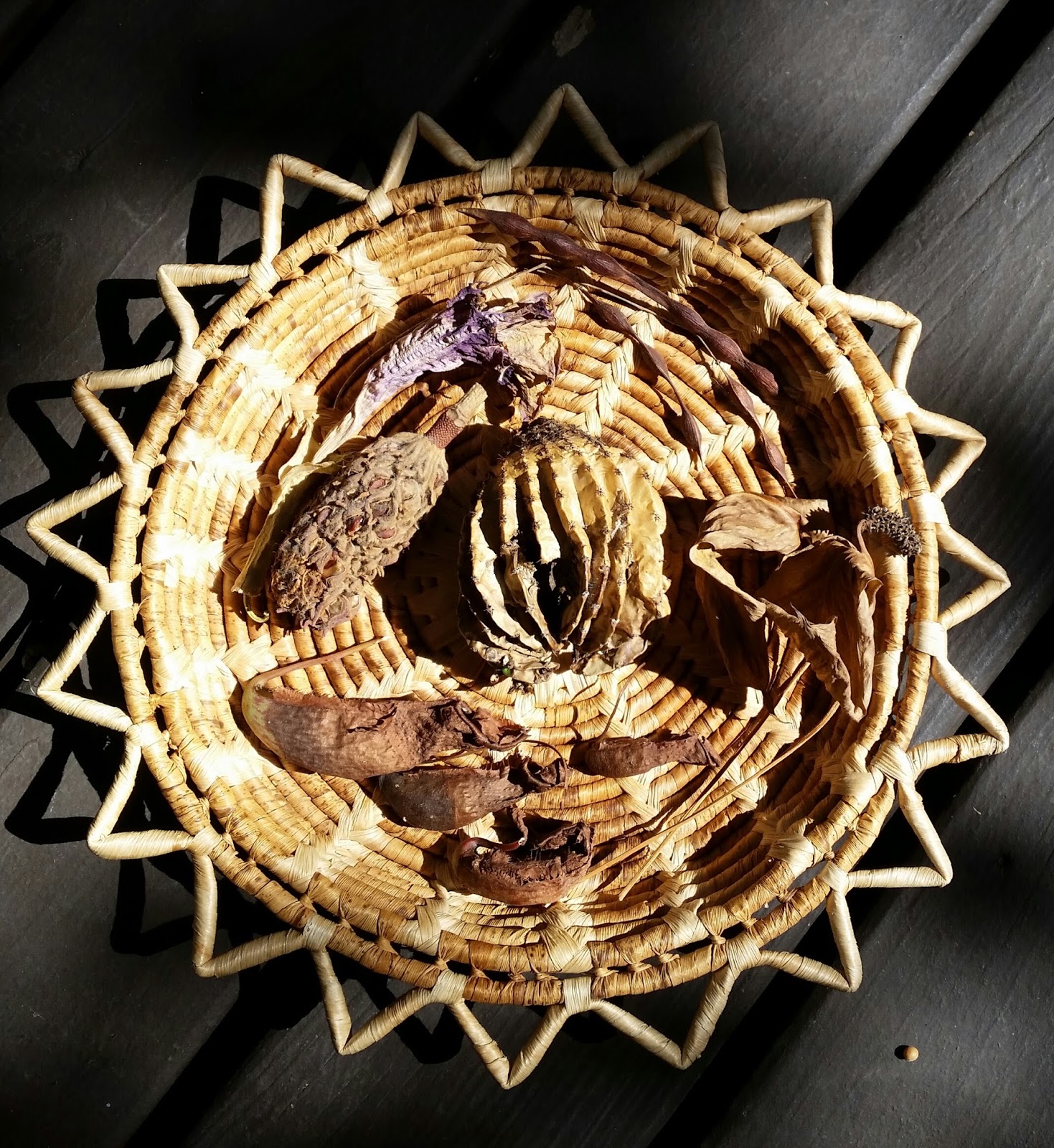 Audrya Flores: Precious Dead Things