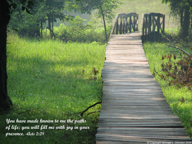 The Road Less Traveled