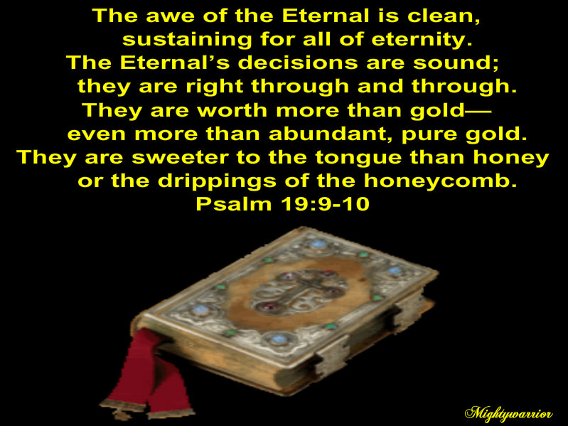  MIGHTY WARRIOR BLOG Psalm 19 9 10