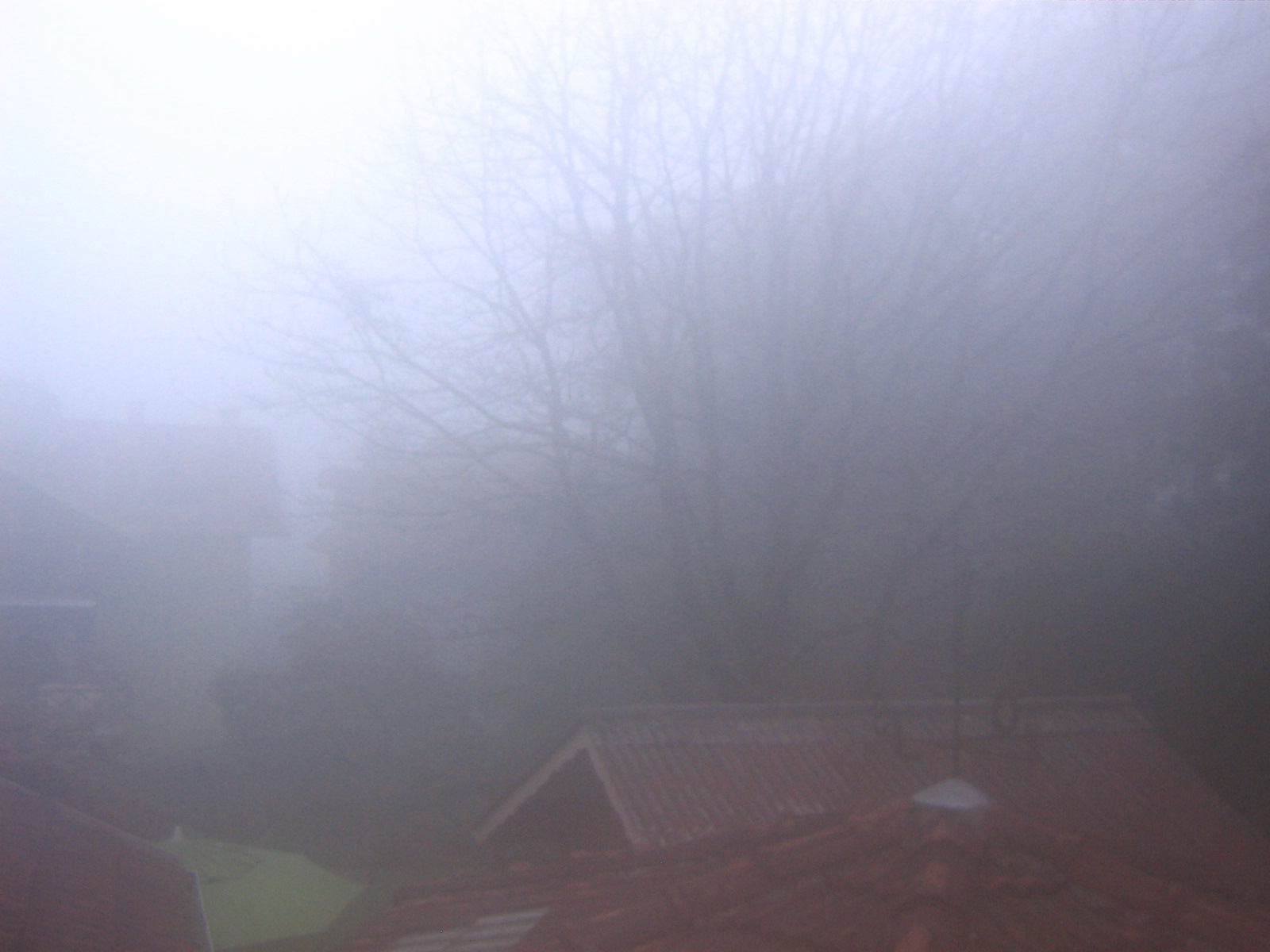 Geo - Conceição : TIPOS DE PRECIPITAÇÕES.