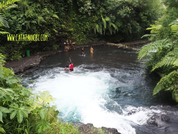 Air Terjun Telunjuk Raung, Banyuwangi - Kesejukan Alami Di Lereng ...