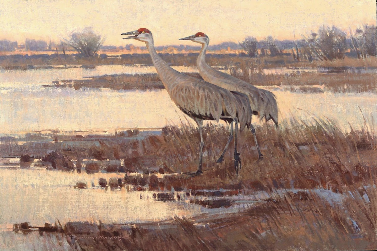 Jim Morgan Art: Current Works