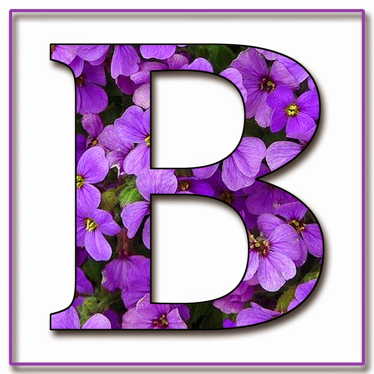 SGBlogosfera. María José Argüeso: DE VIOLETAS