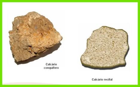 Bio & Geo, Tudo o Que Precisas de Saber!: Classificação das Rochas ...